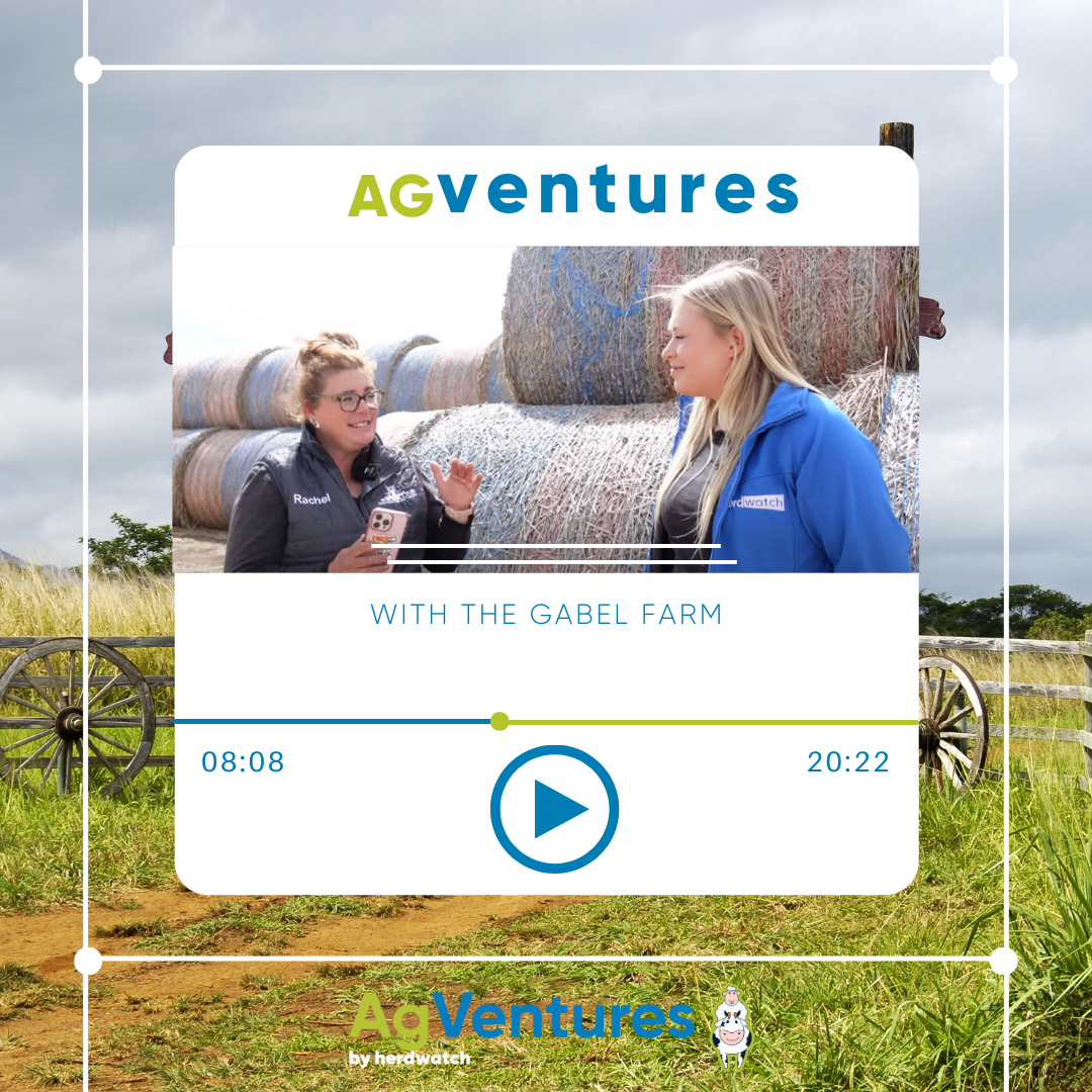 Episode 5: The Gabel Farm Operation in Colorado - Herdwatch UK